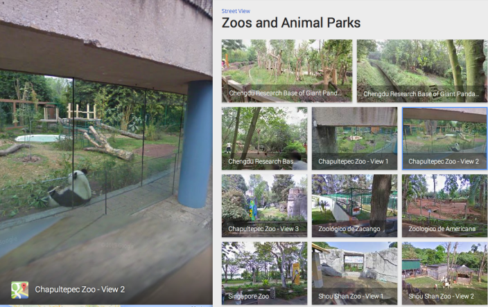 Google adds virtual zoo and animal park visits to Street View - Talk ...