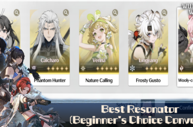 Convene Pity System Explained - Wuthering Waves - Talk Android