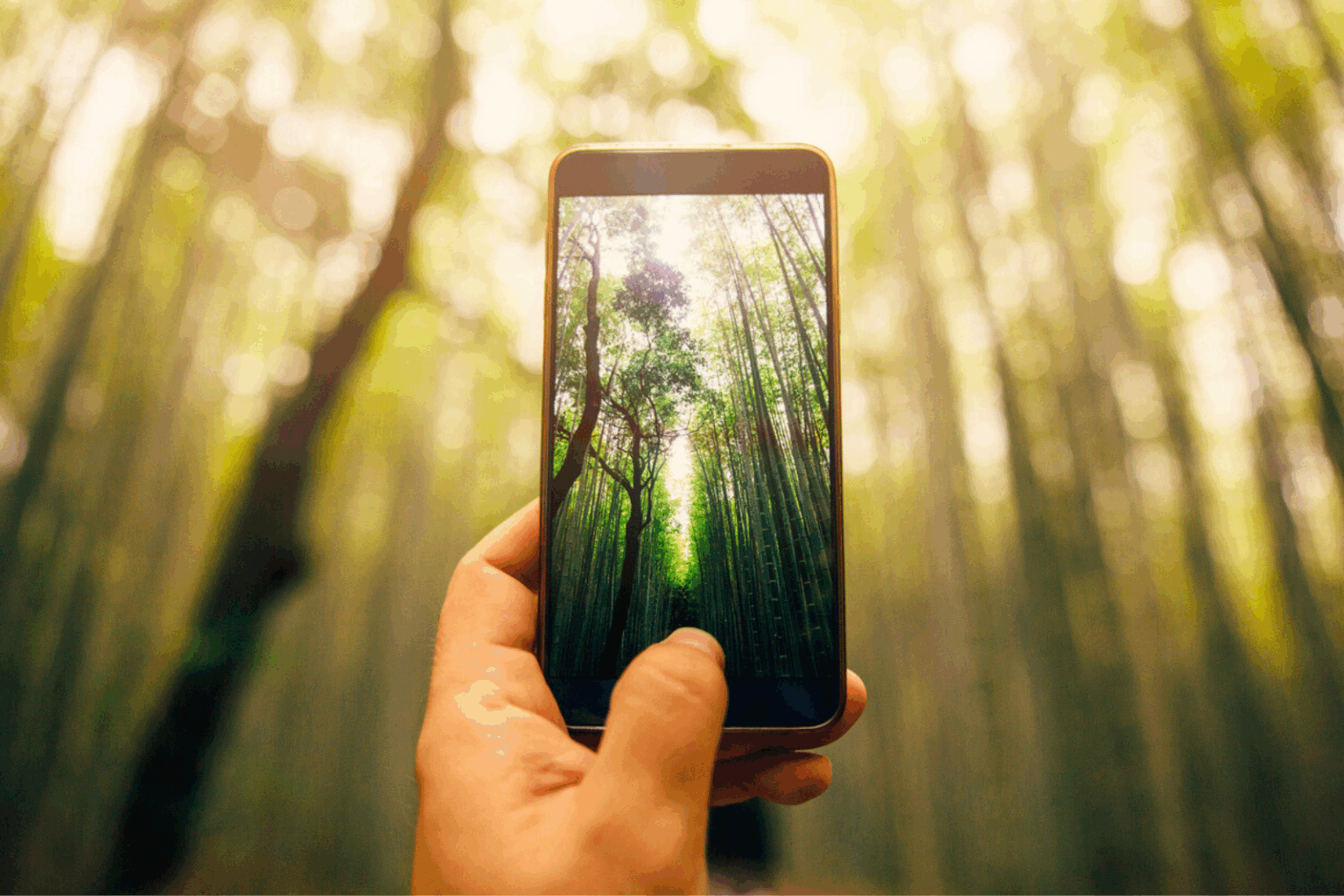 Unlock Professional Shots: Top 3 Android Camera Settings You Must Try ...
