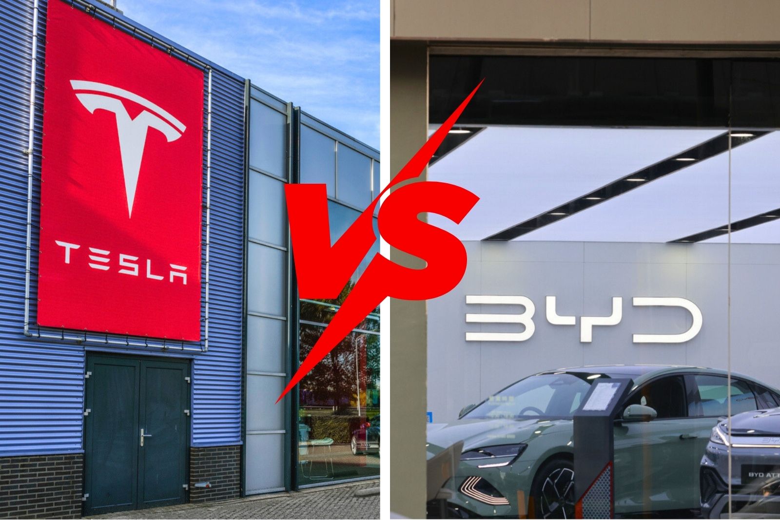 Tesla vs BYD experts tear down their batteries and the results are ...