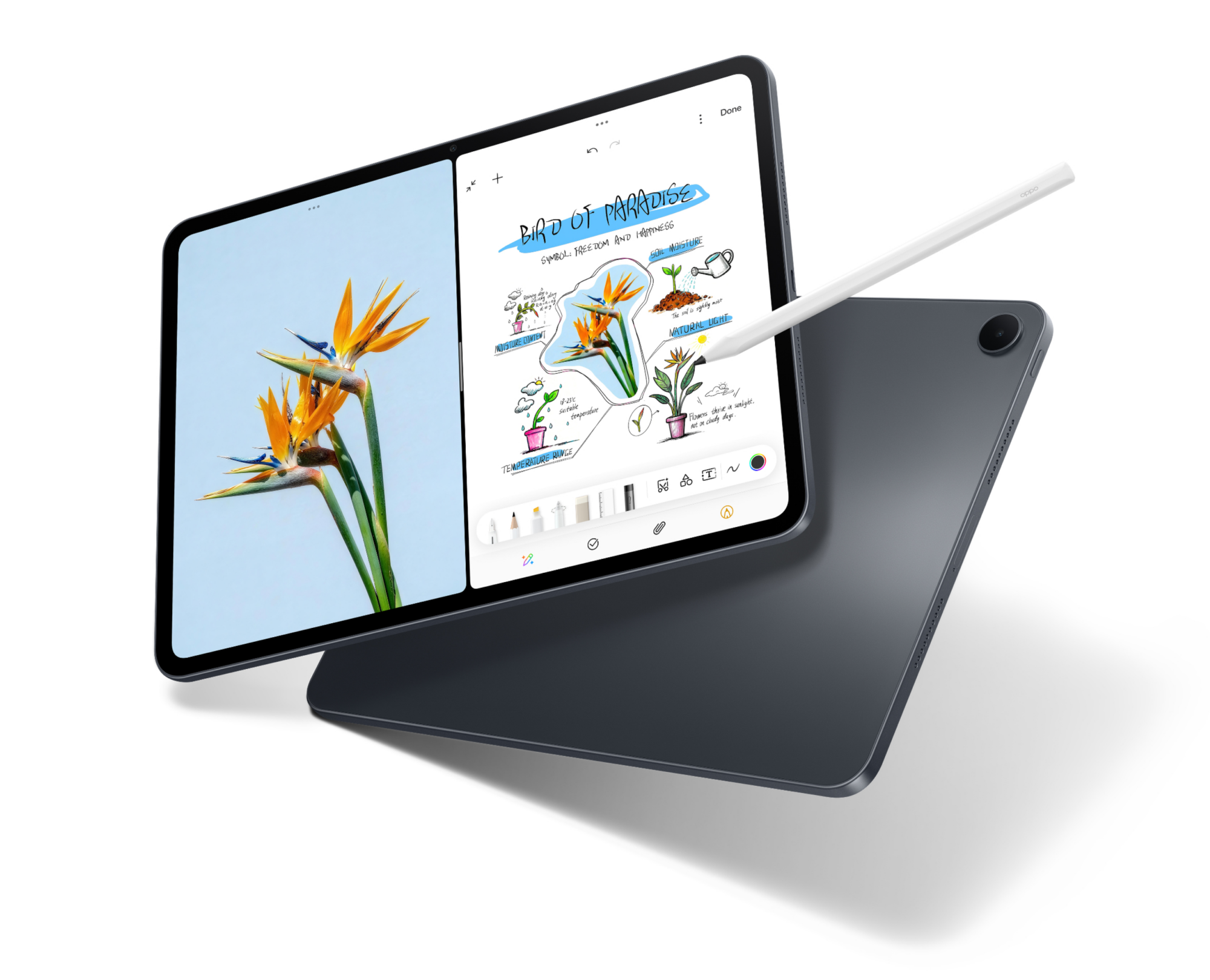 Oppo Launches Pad 5, Enco Clip 2, and More in the UK - Talk Android